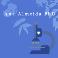Ana de Almeida, PhD